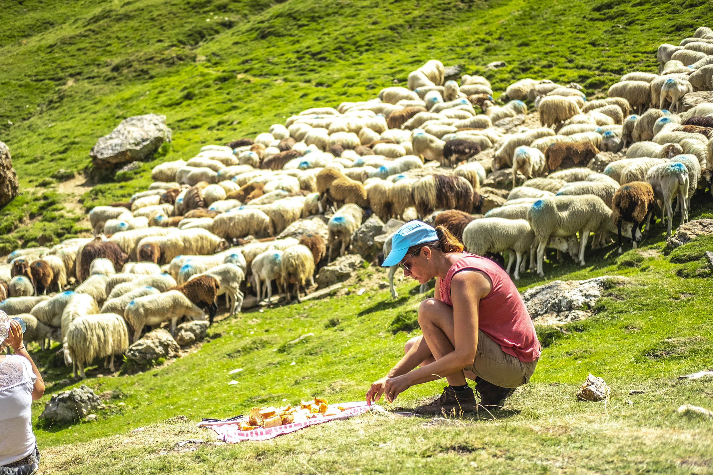 Balade avec un Berger au Soulor